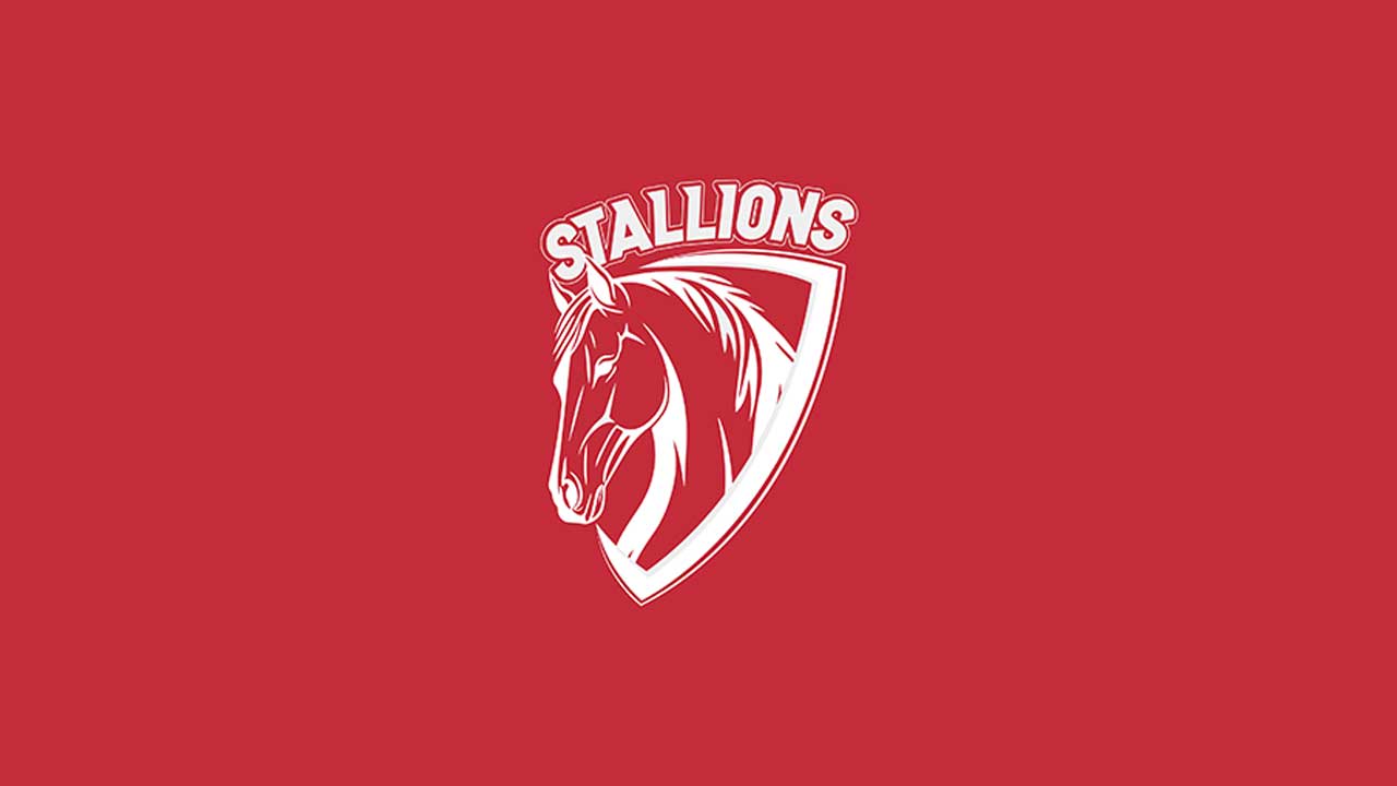 Stallions: Pakistan's Unrivaled T20 Powerhouse Gears Up for Champions ...